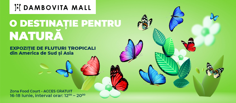 Expoziție de Fluturi Vii - Dambovita Mall - Dambovita Mall